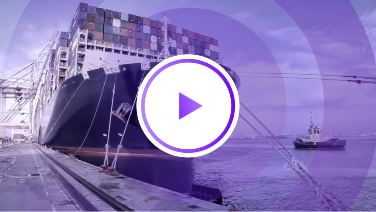 Trademo - Global Supply Chain Intelligence & Trade Data Simplified