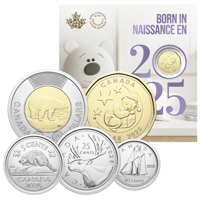 coin collection display folder