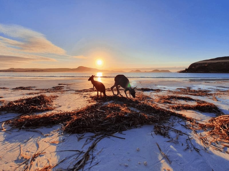 Perth to Adelaide Adventure Tour | Happy Travels