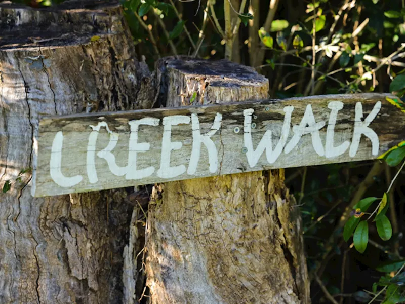 Byron Bay Aboriginal Bush Tucker Tours | Happy Travels
