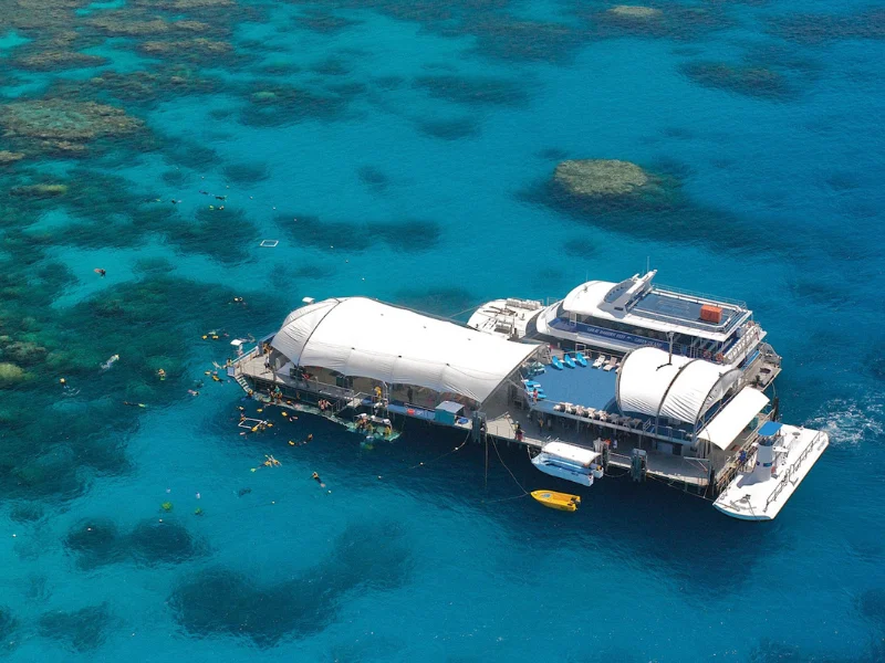 Moore Reef Pontoon Day Tour | Happy Travels