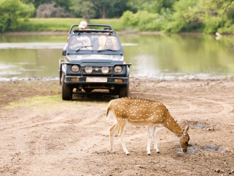 13 Day Best of India Highlights Group Tour | Sale On Now! | Happy Travels