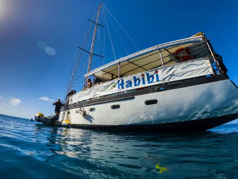 2 Day 1 Night Habibi Whitsundays Sailing Tour | Happy Travels