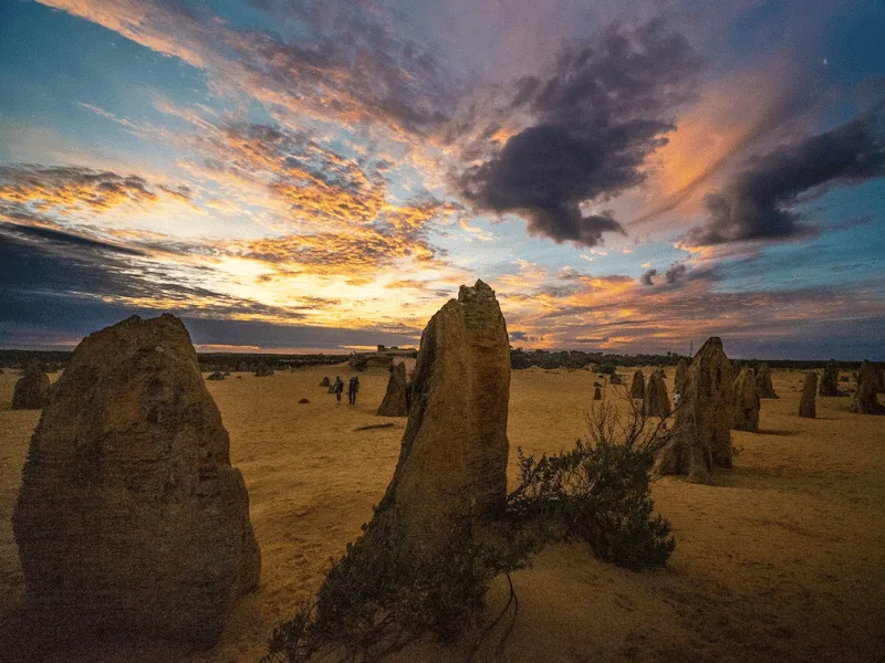 Pinnacles Desert Stargazing & BBQ Tour | Find the Best Deals at Happy ...