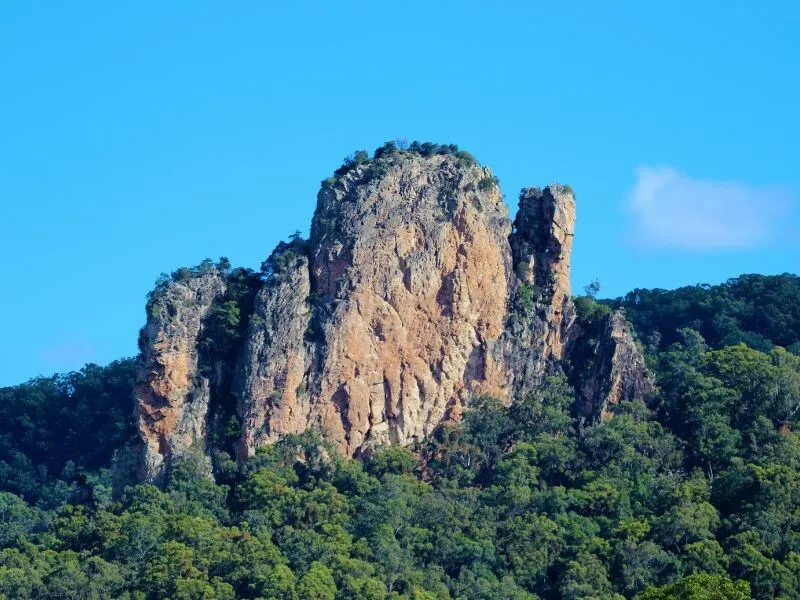 Happy Coach Nimbin Day Tour | Happy Travels