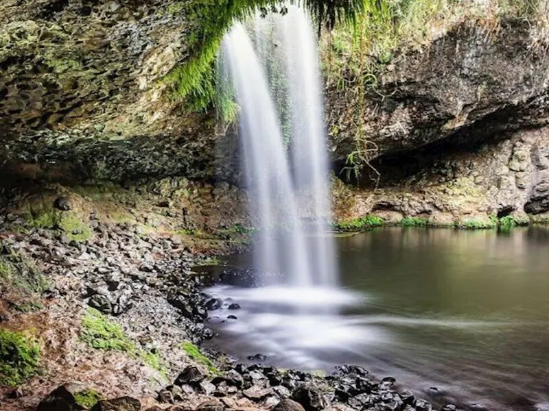 Happy Coach Nimbin Day Tour | Happy Travels