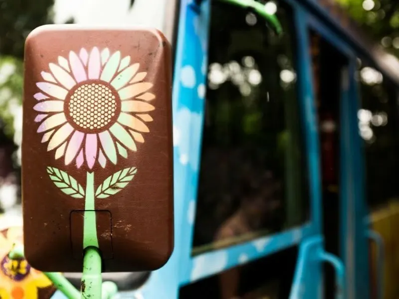 Happy Coach Nimbin Day Tour | Happy Travels