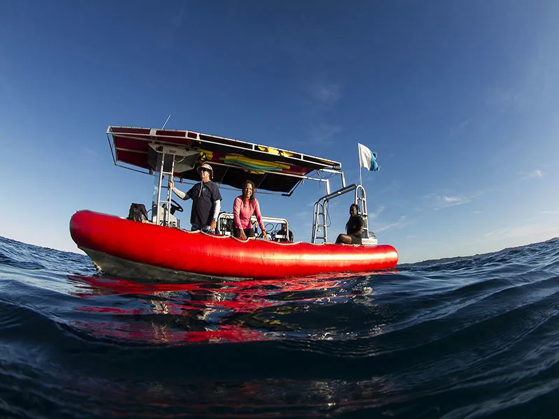 Byron Bay Turtle Snorkel Experience Julian Rocks | Happy Travels