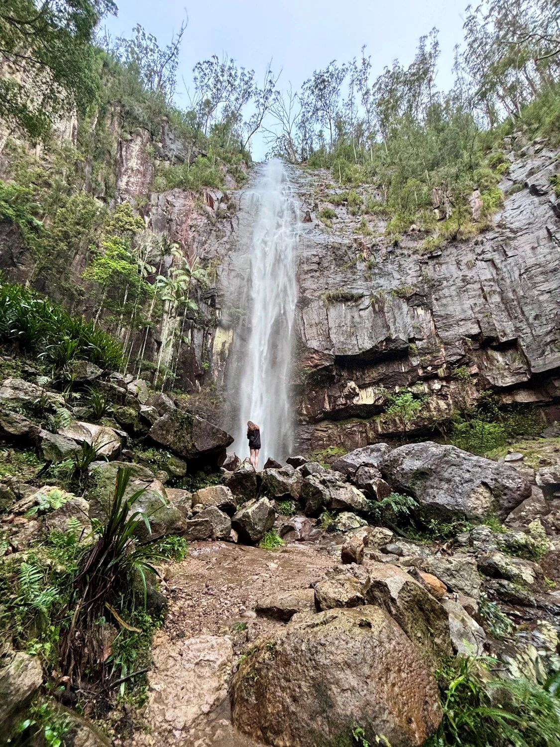 Byron Bay Waterfalls and Glow-worm Experience | For the Best Adventures ...