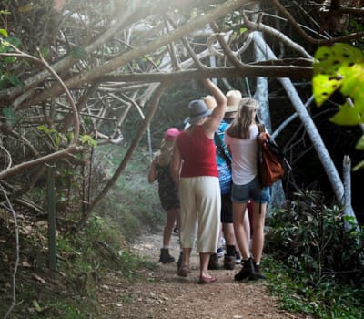 Byron Bay Aboriginal Bush Tucker Tours | Happy Travels