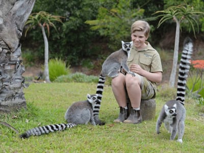 Australia Zoo Day Tour from Brisbane or Noosa | Happy Travels