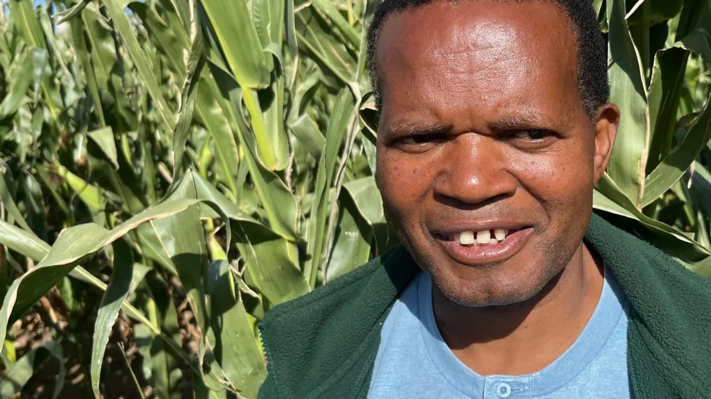'UK's First Grower Of White Maize' Gets Royal Visit - Diaspora News Guide