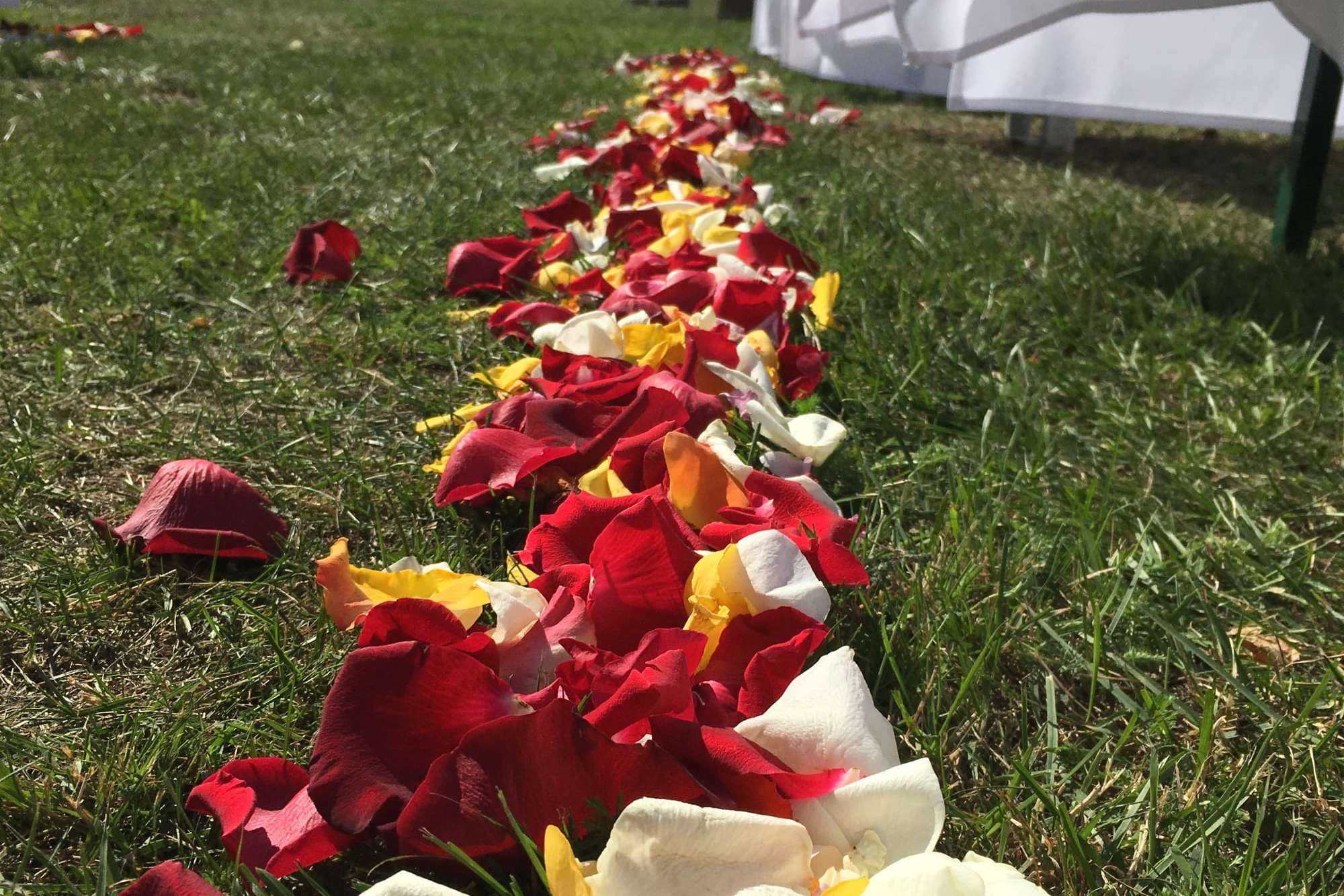 Schloss Walbeck | Geldern | Hochzeitsportal24