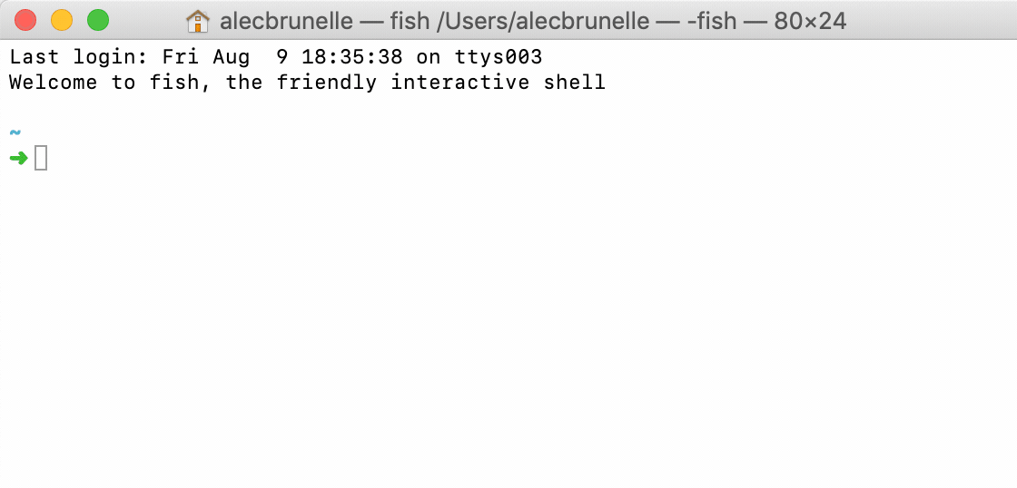 Why I use Fish Shell over Bash and Zsh 🐟
