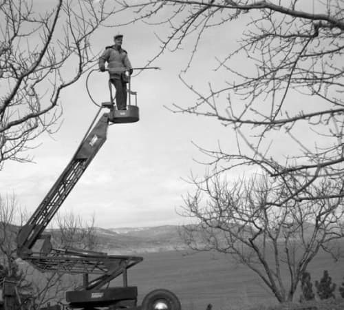 The Boom Lift: Everything You Need To Know