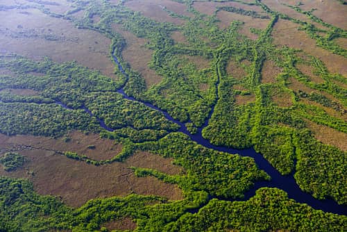 The Comprehensive Everglades Restoration Plan Explained | DOZR