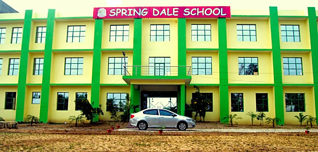 Spring Dale School