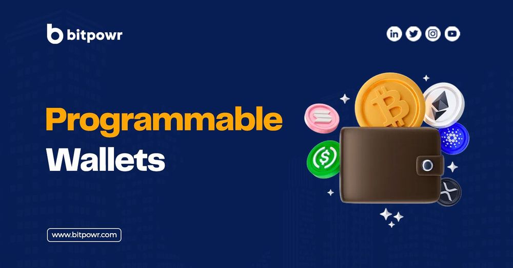 Programmable Wallets - Bitpowr