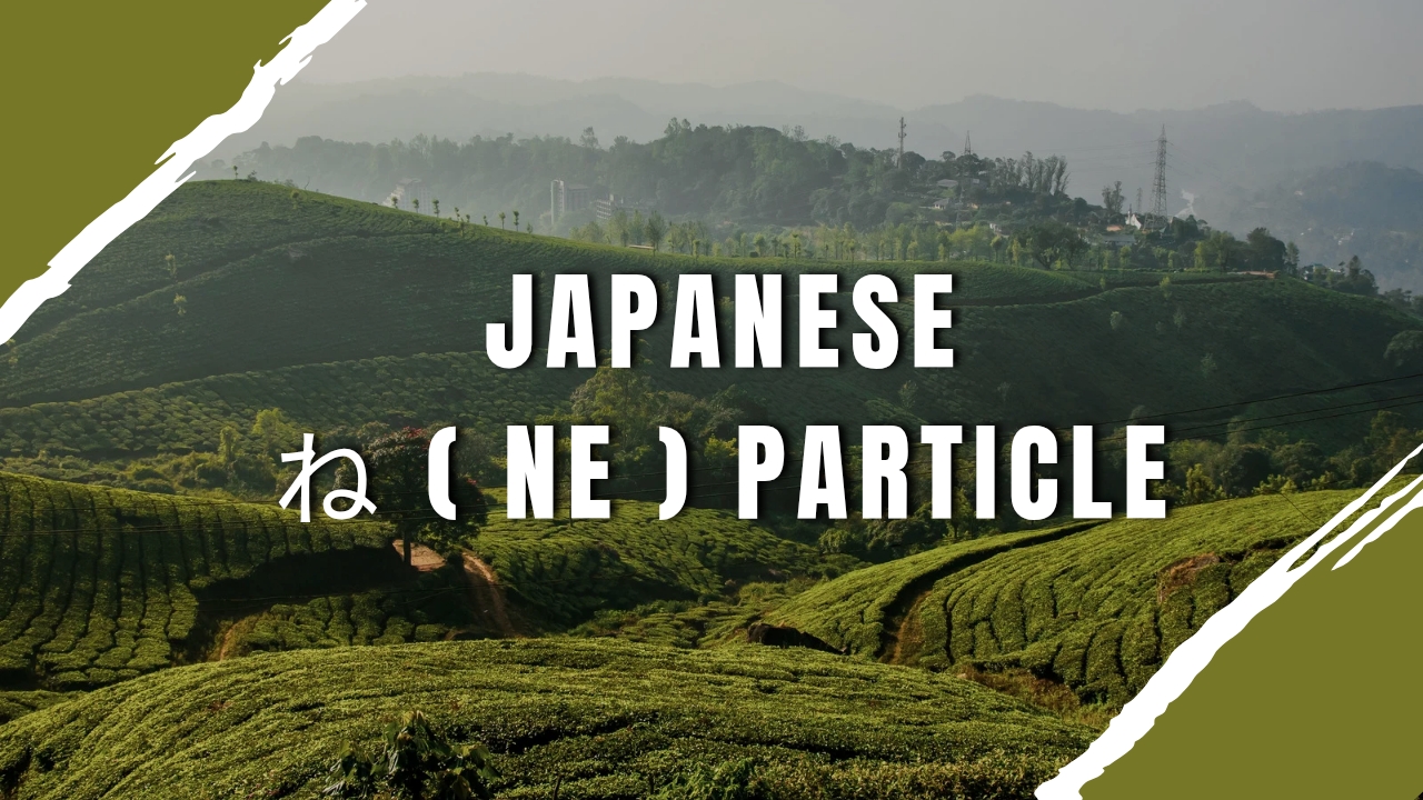 Mastering the ね (ne) Particle in Japanese: Agreement, Softness, and ...