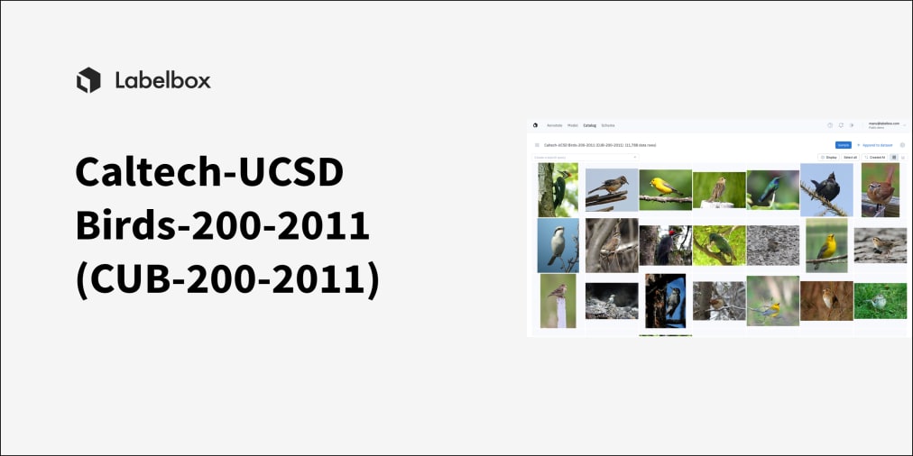 Caltech-UCSD Birds-200-2011 (CUB-200-2011)