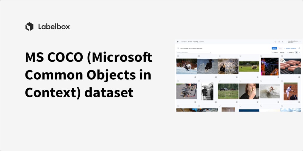 MS COCO (Microsoft Common Objects in Context) dataset