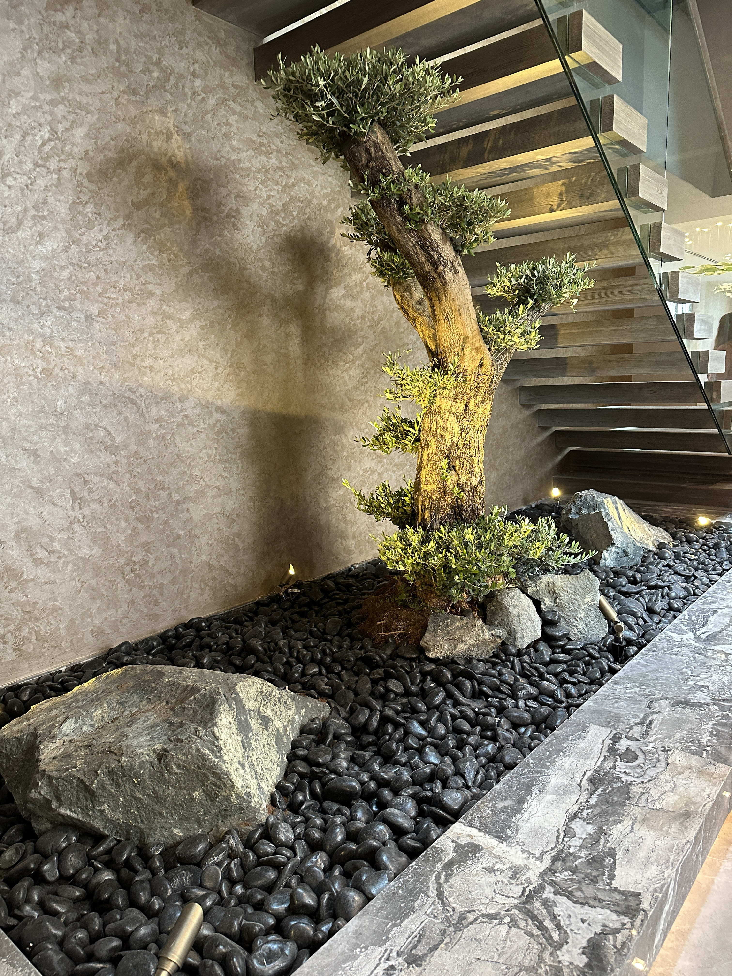 Indoor Zen Garden Design for Modern Luxury Homes | Insights | Hammer Group