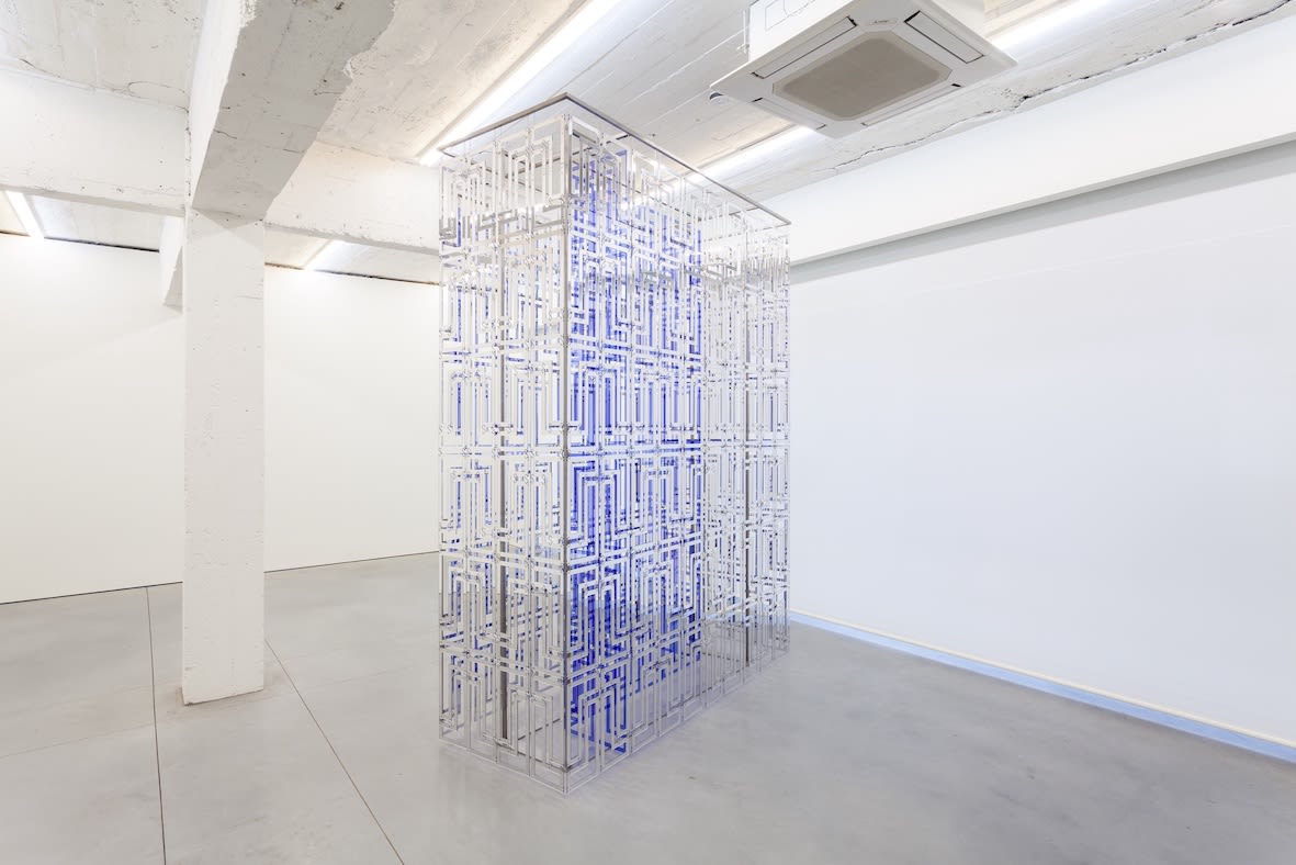 Perception and abstraction in the work of Carla Arocha