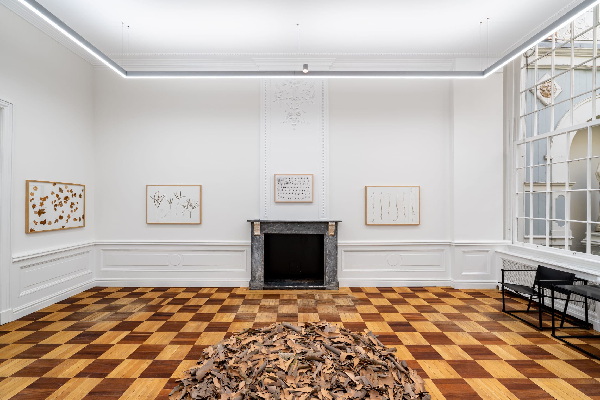 herman de vries. 90 - Borzo | Laatste kans | Gallery V...