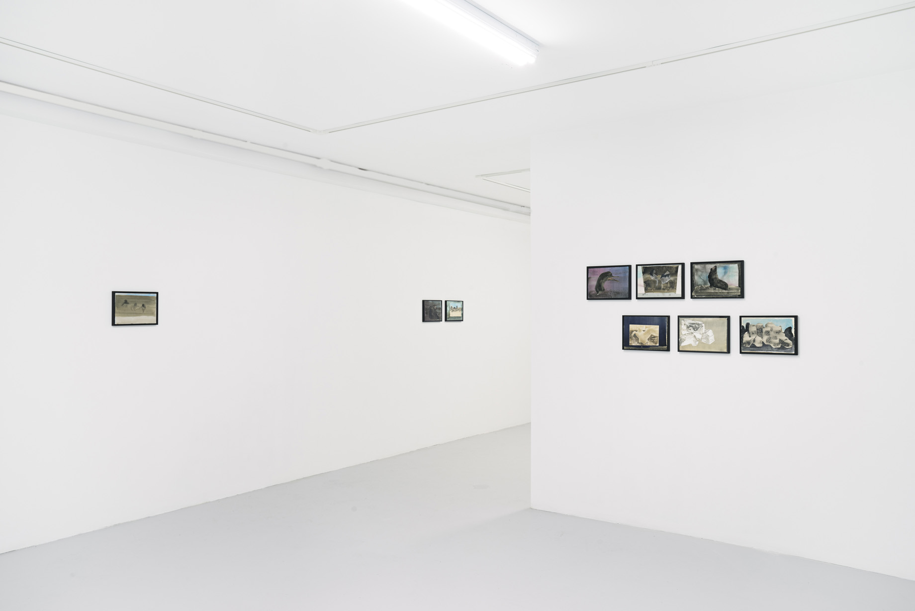 Hundreds of Nature | Ciarán Murphy | Gallery Viewer