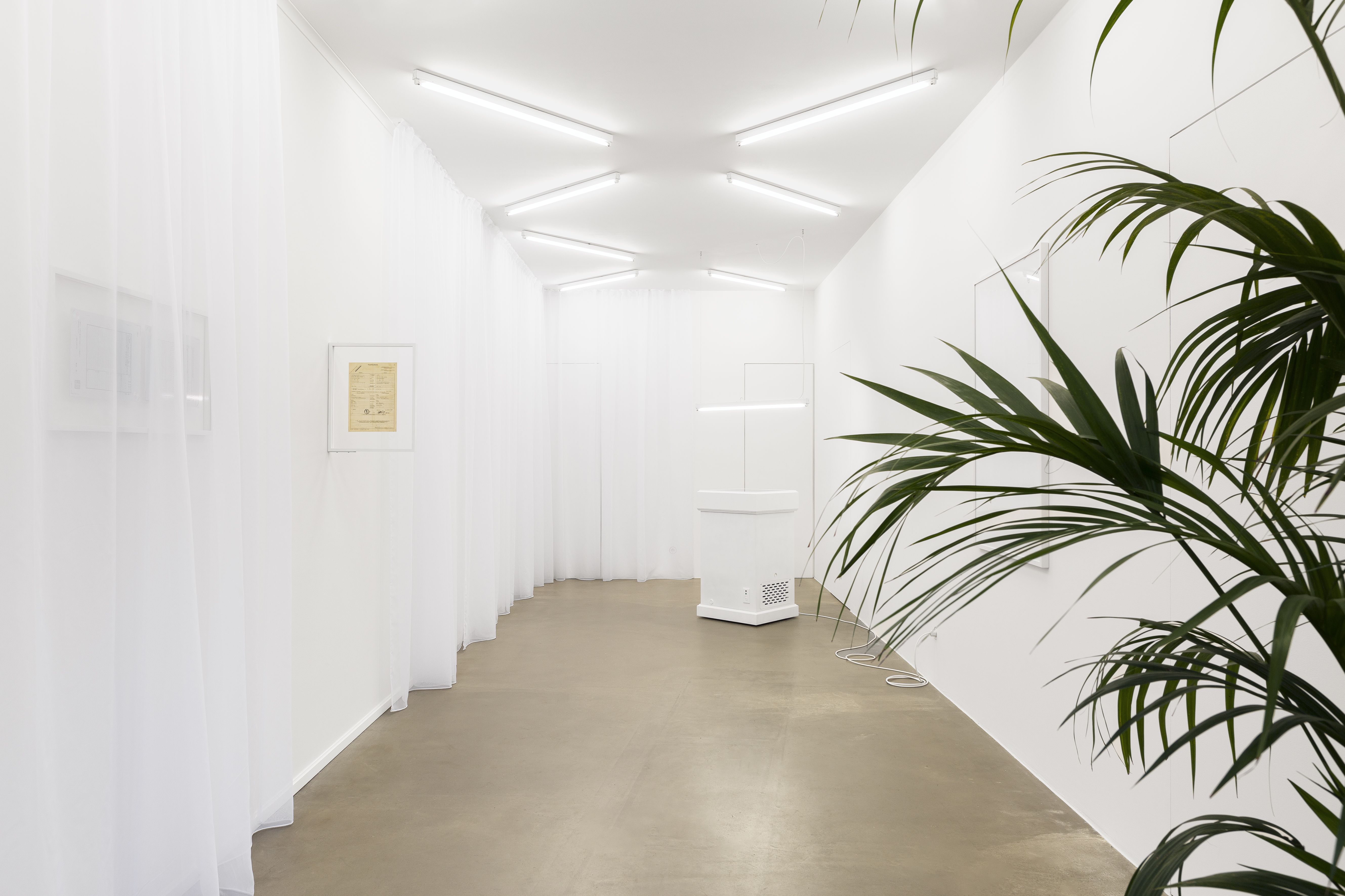 Archiraar Gallery | Spectacles | Visionneuse de galerie