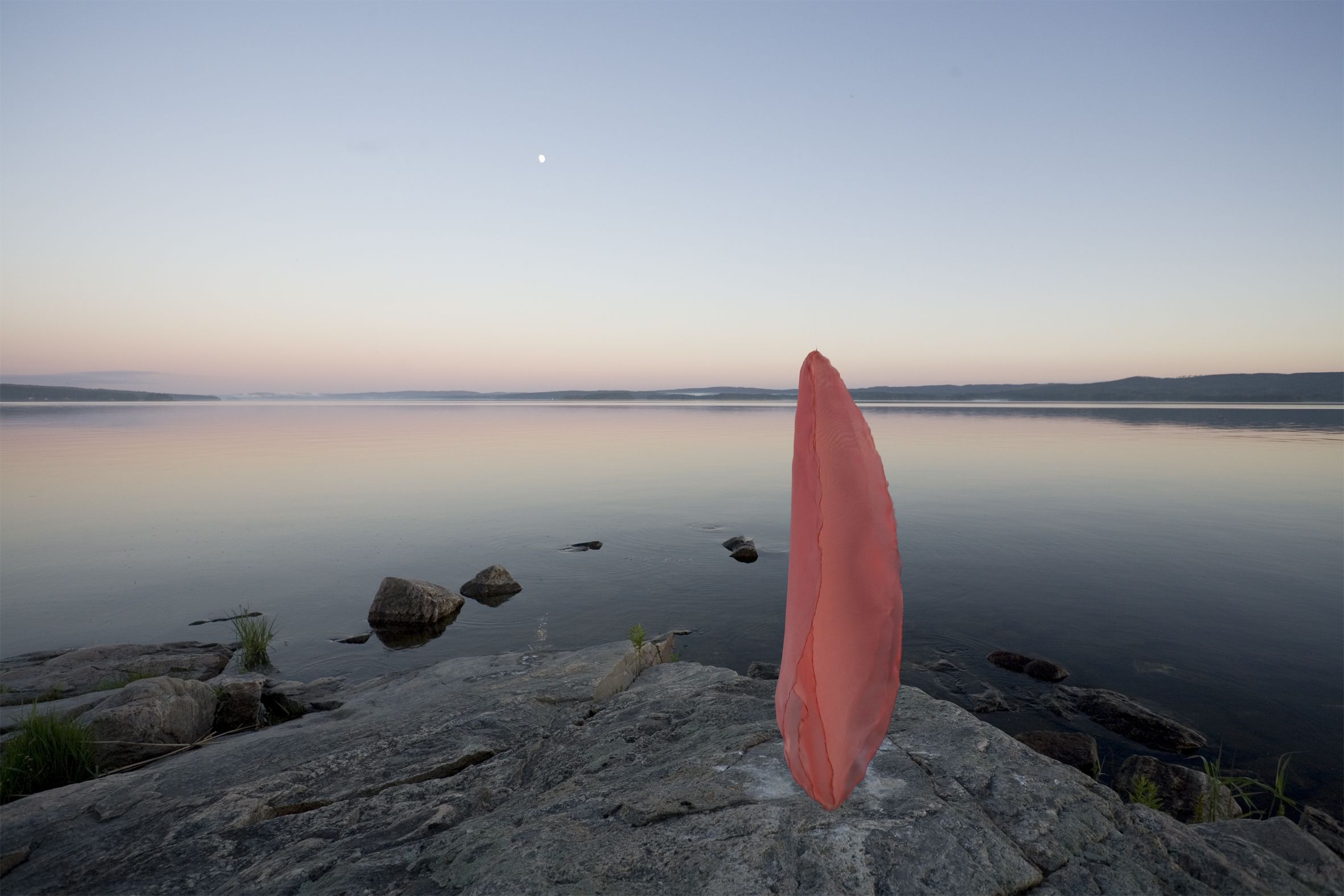 Pink Phenomenon | Lin de Mol | Gallery Viewer