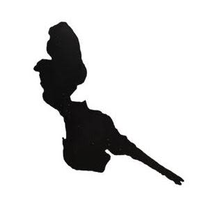 Decalage | Emma Kroos | Gallery Viewer