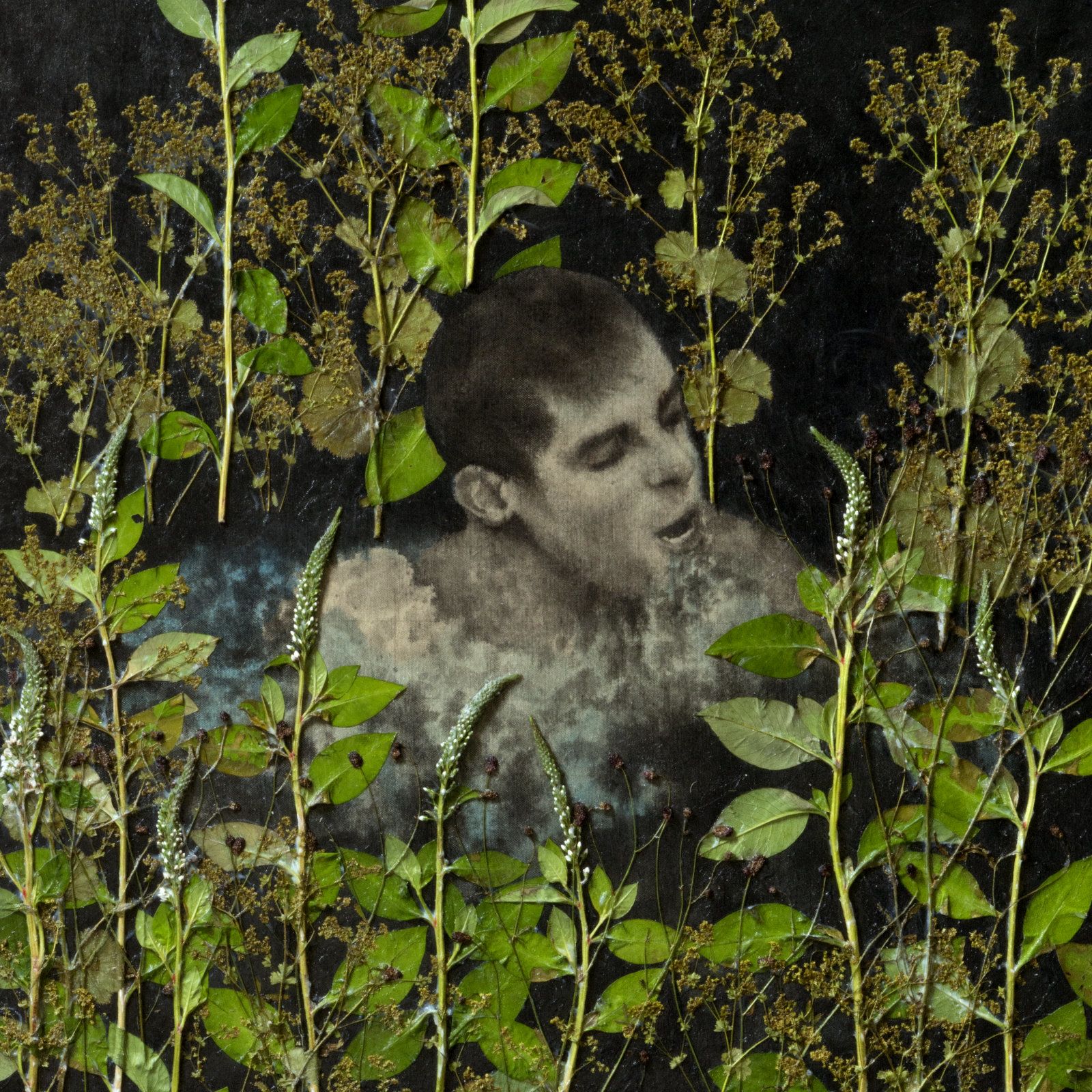 The Gasp II | Luis Xertu | Gallery Viewer