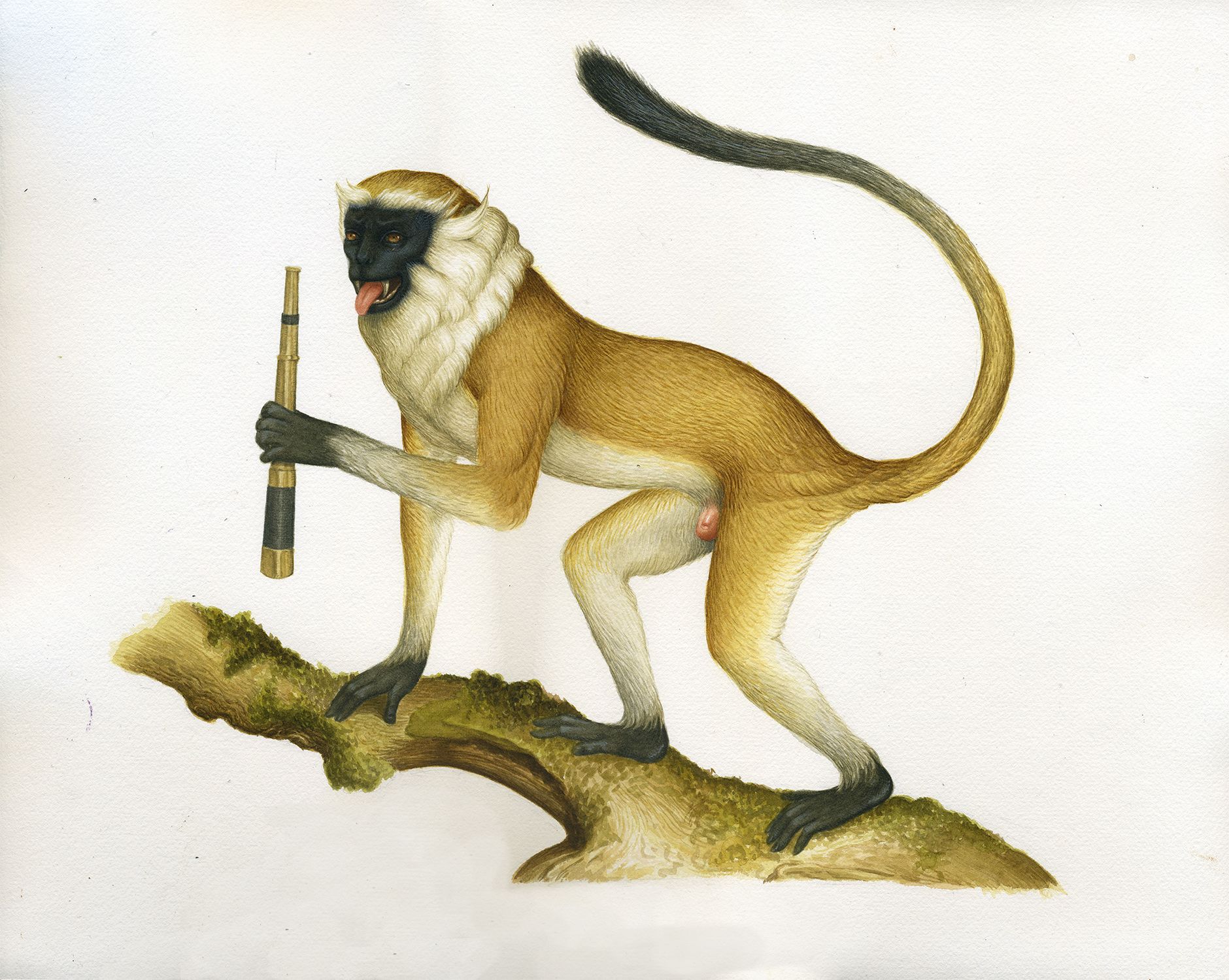 Vile Creatures - A natural h... | Lindsey Carr | Gallery...