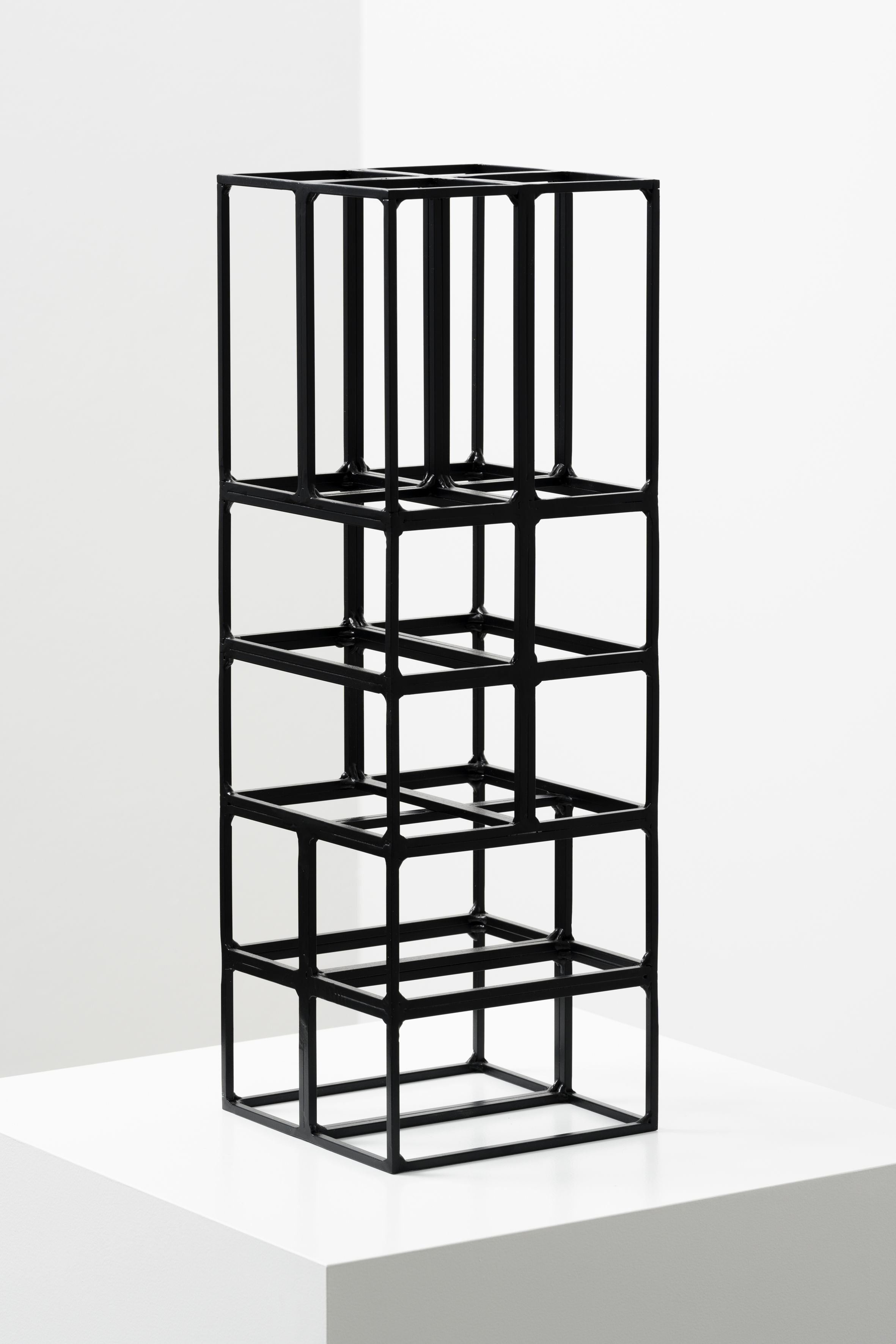 Still Life in 4 Dimensions | Michael Jacklin | Gallery V...