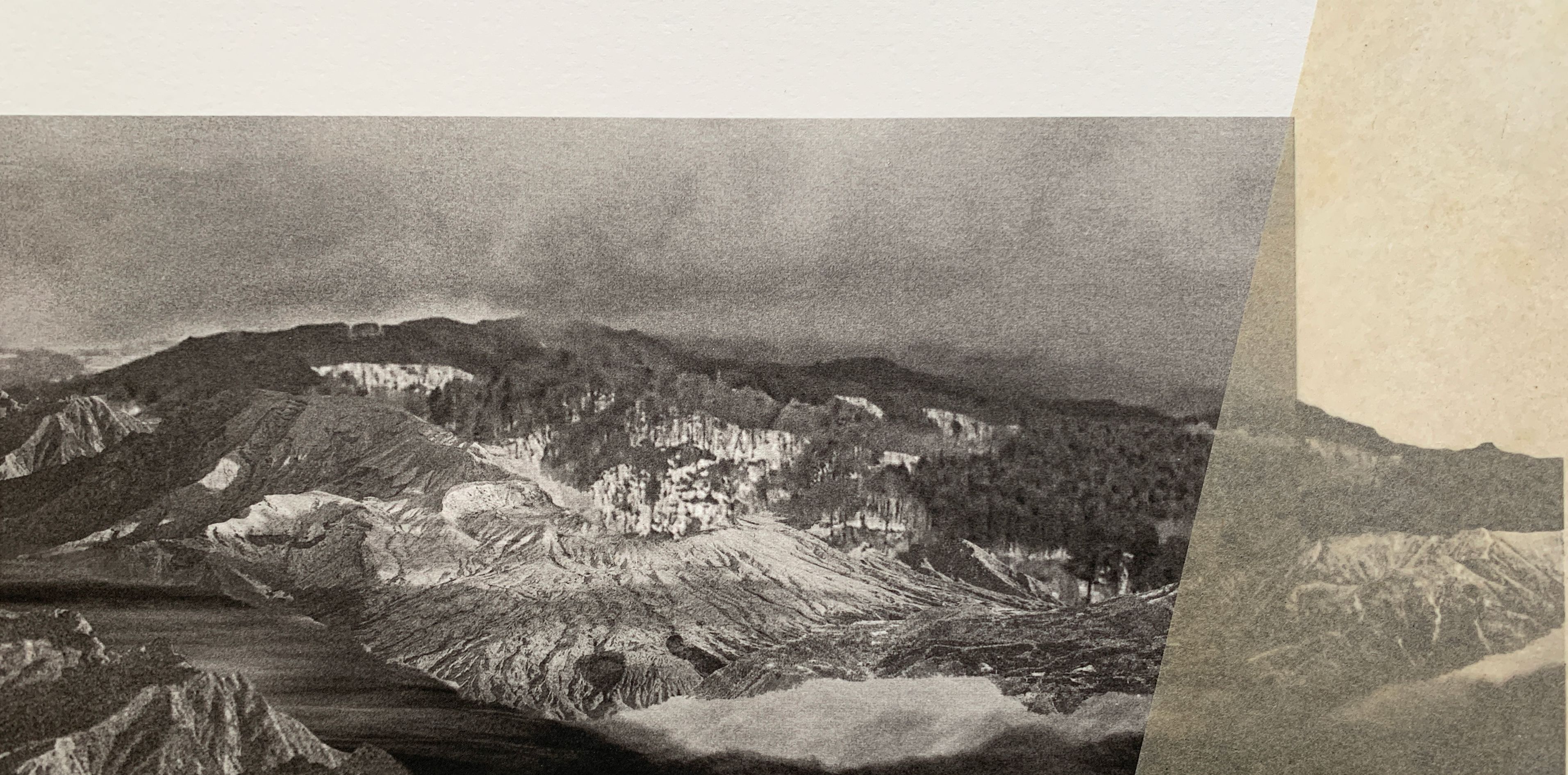 Last forest II | Gert Motmans | Gallery Viewer