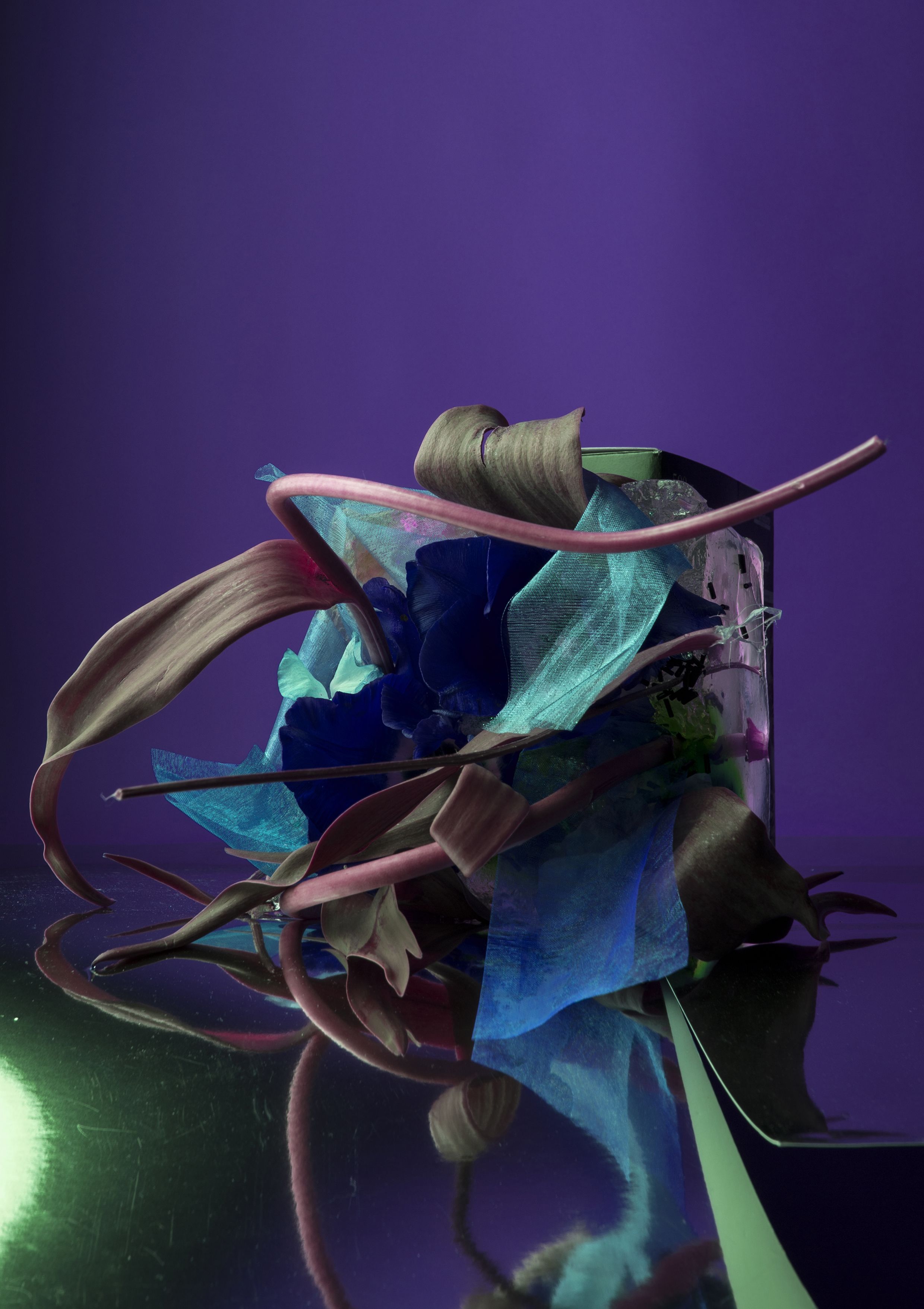 Mutant | Louise te Poele | Gallery Viewer