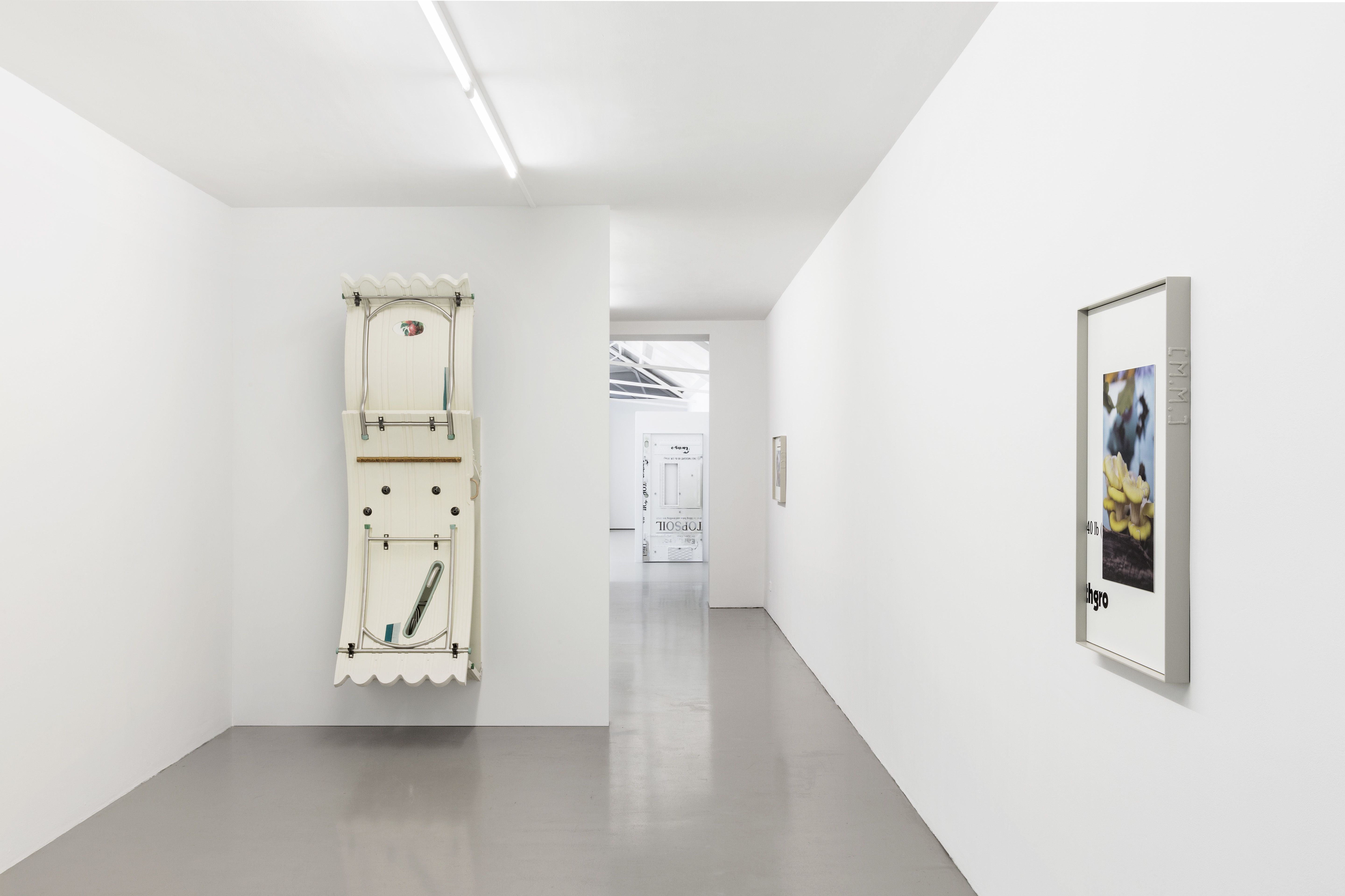 Magali Reus - Shadow Tonics | Magali Reus | Gallery View...