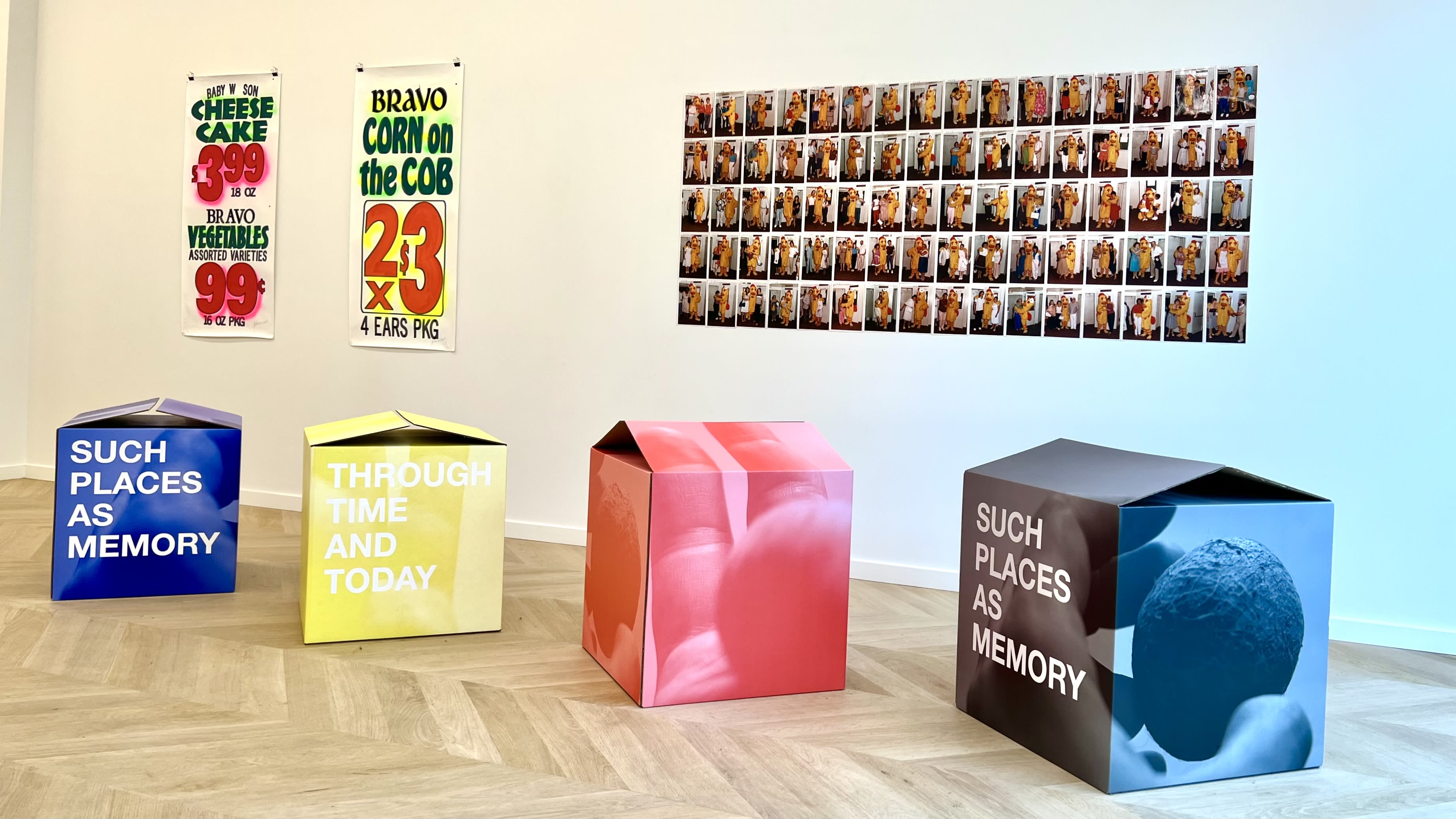 The Gallery Box by Coppejans Gallery | Gallery Viewer