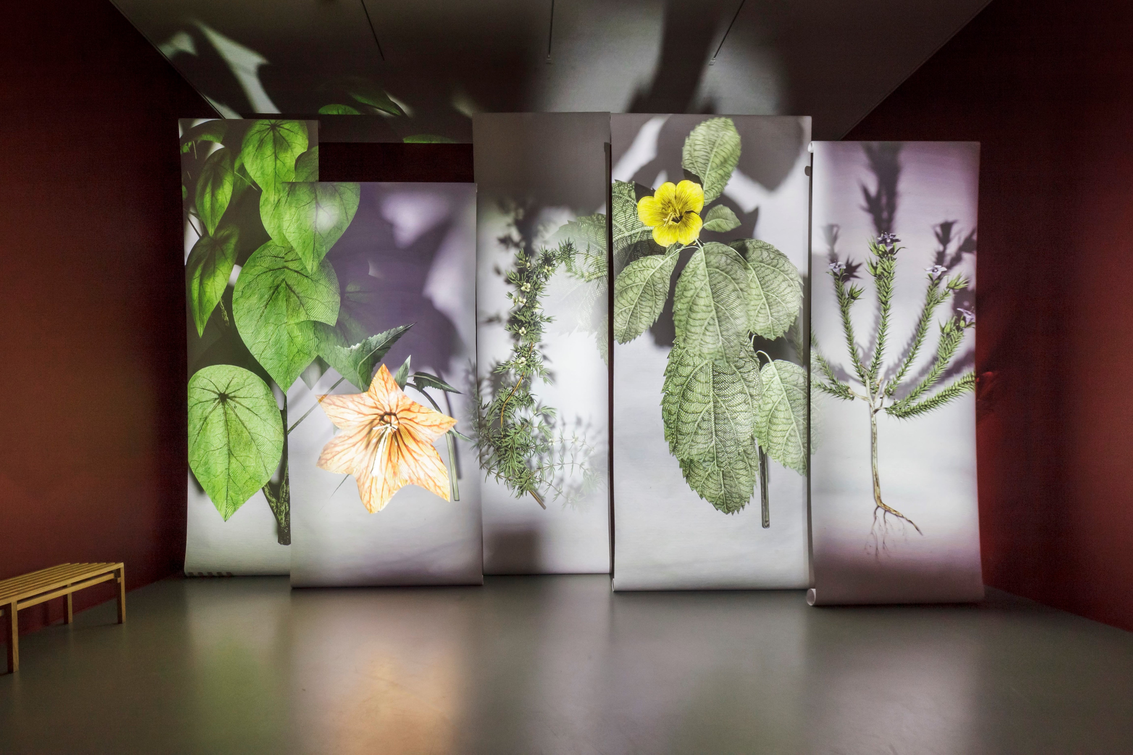 Preview Art Rotterdam | Meet The Artist... Margit Lukács...