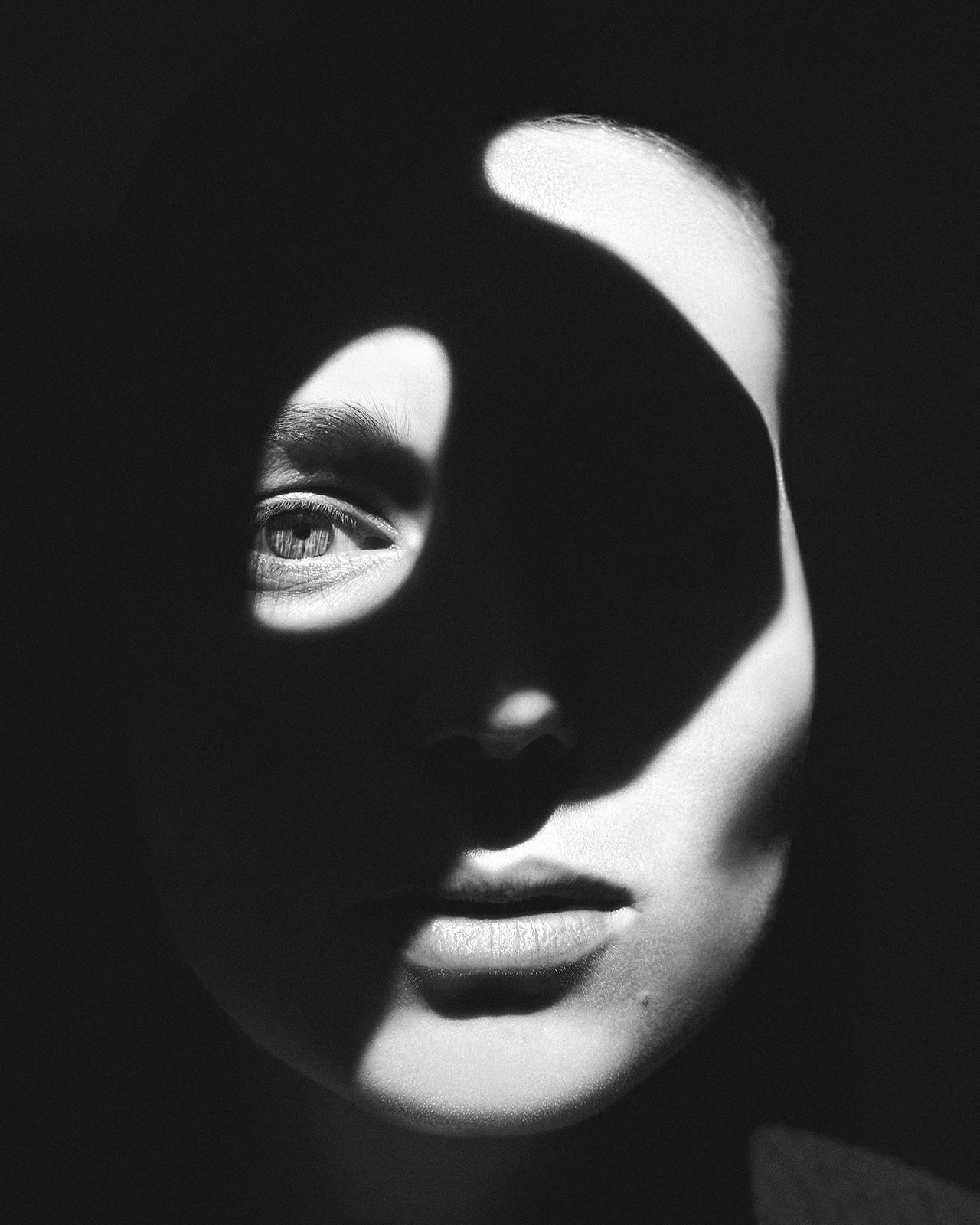 Marcus Schaefer - The Unexpe... | Marcus Schaefer | Gall...