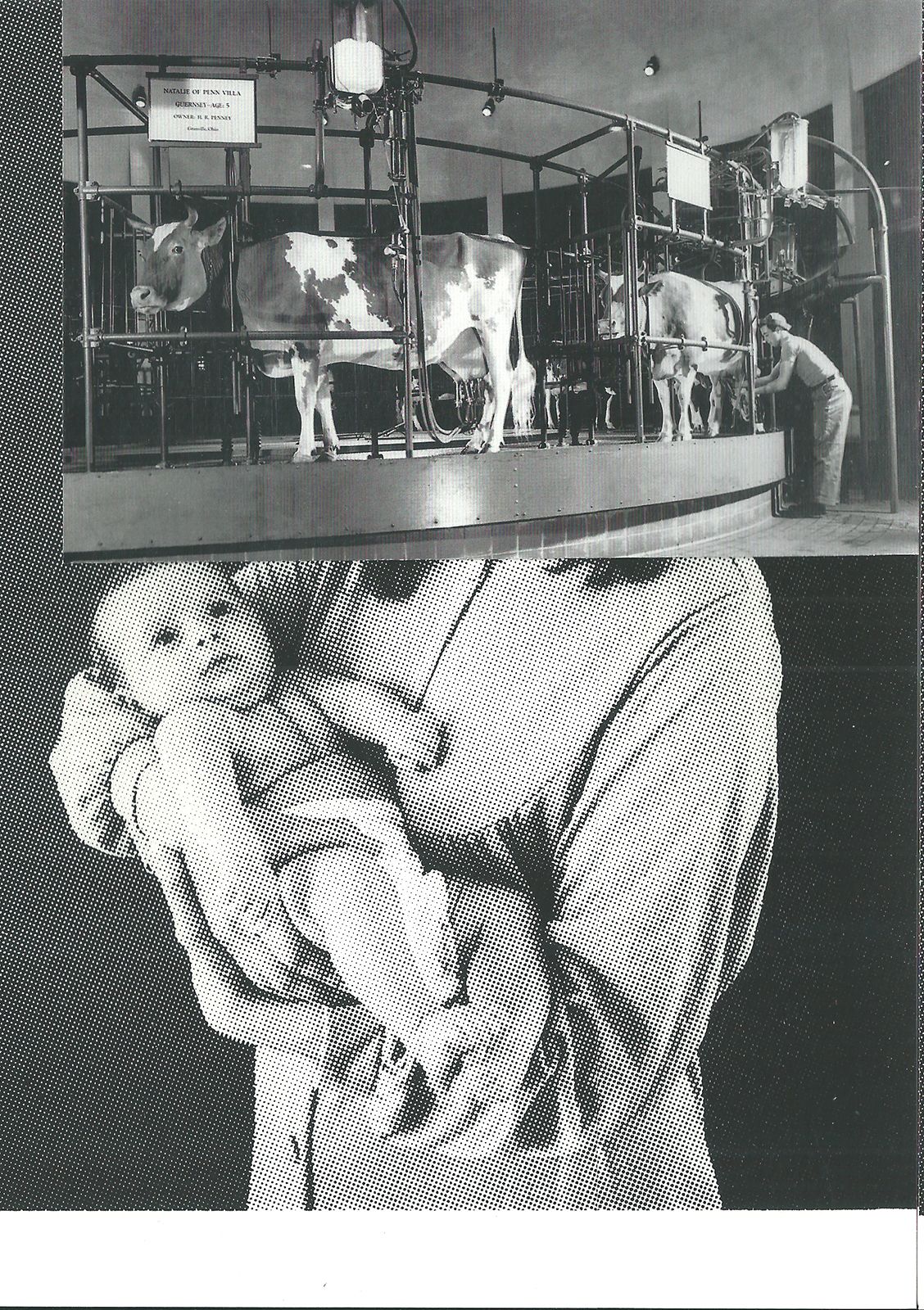 Labour of Love | Sarah Maple | Gallery Viewer