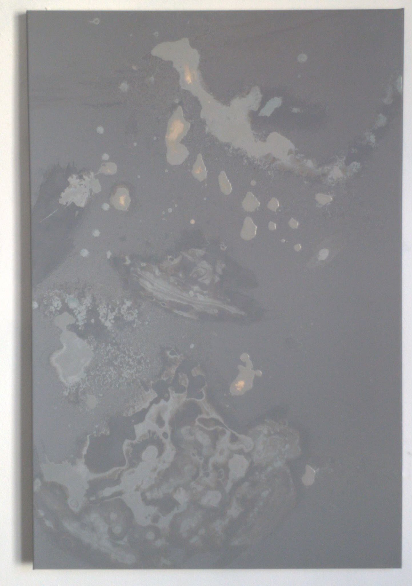 fetch The Bold Cutters | Stijn Stevens | Gallery Viewer