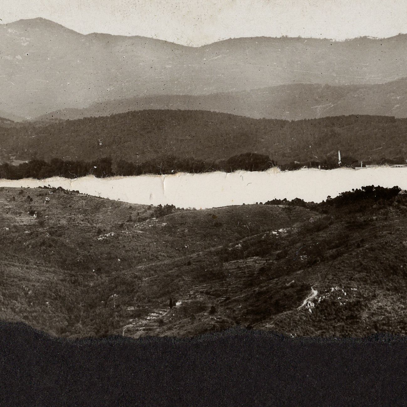 Day 20 | Gert Motmans | Gallery Viewer