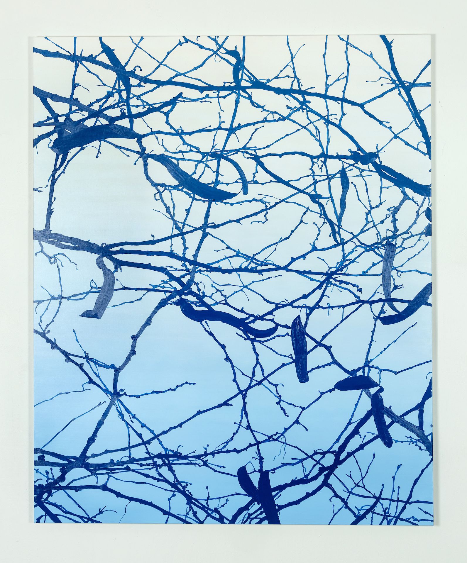 Blue Field | Tycho van Zomeren | Gallery Viewer