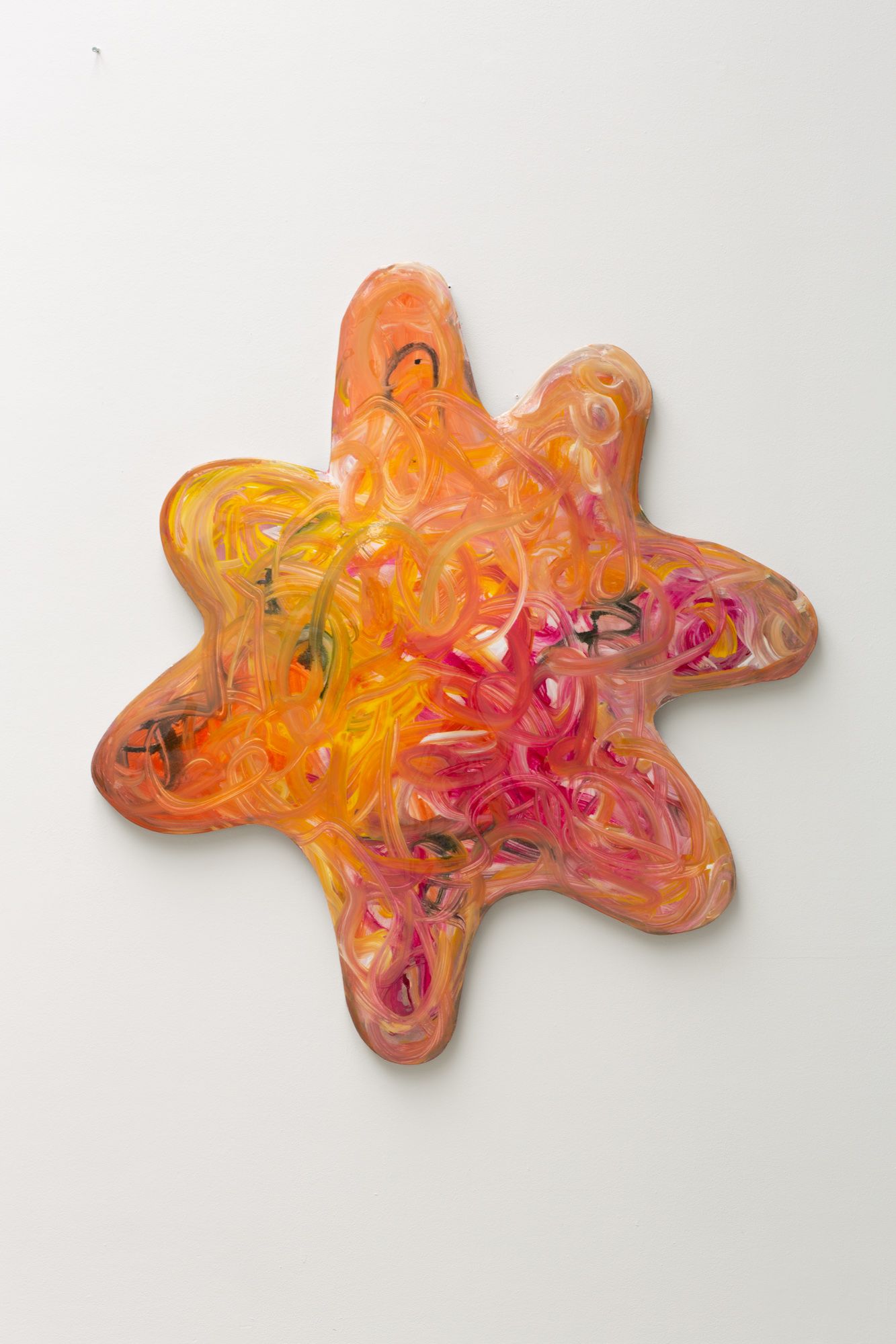 Pink yellow red amoeba | Bob Eikelboom | Gallery Viewer