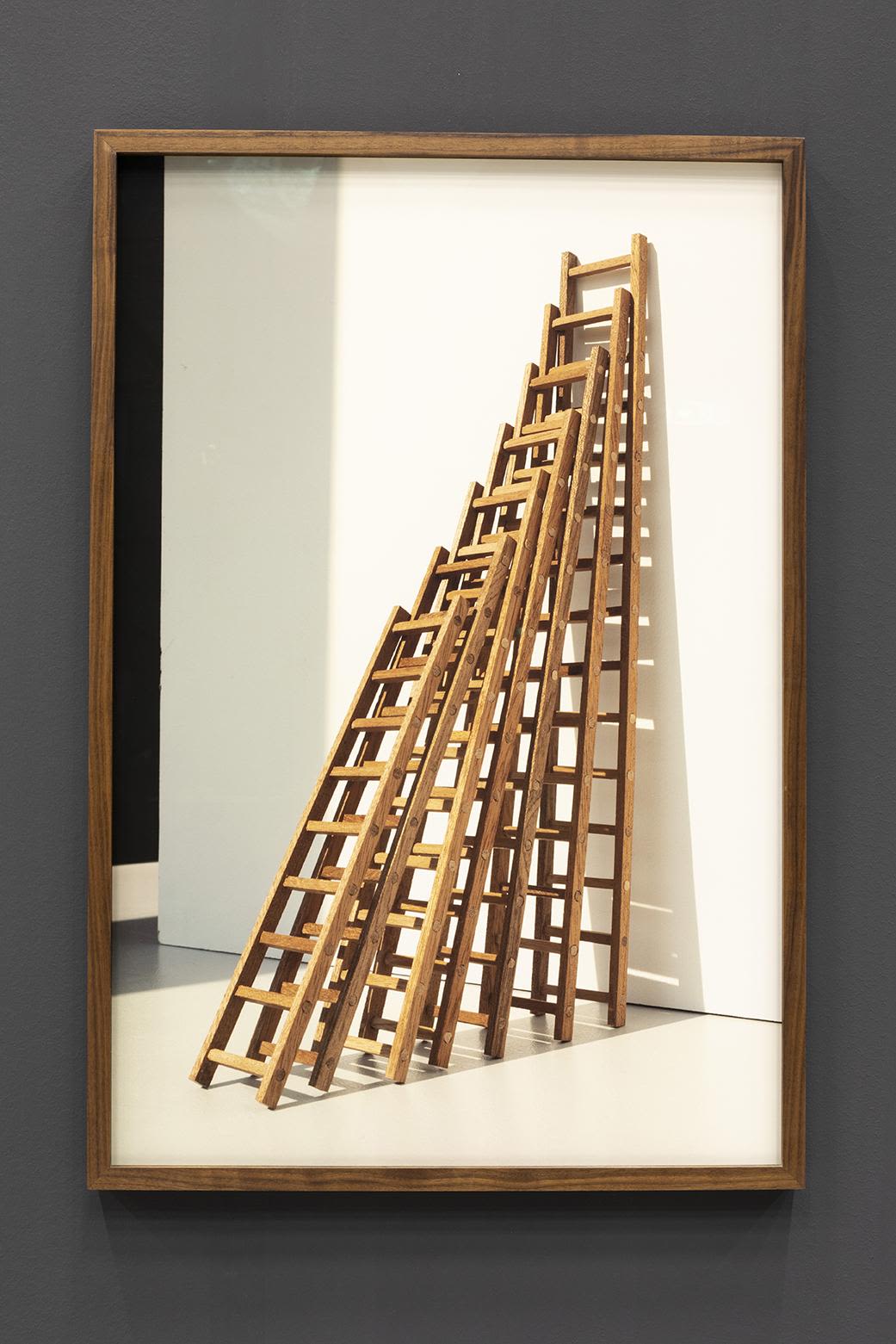 Ladder Study | Bart Lunenburg | Gallery Viewer