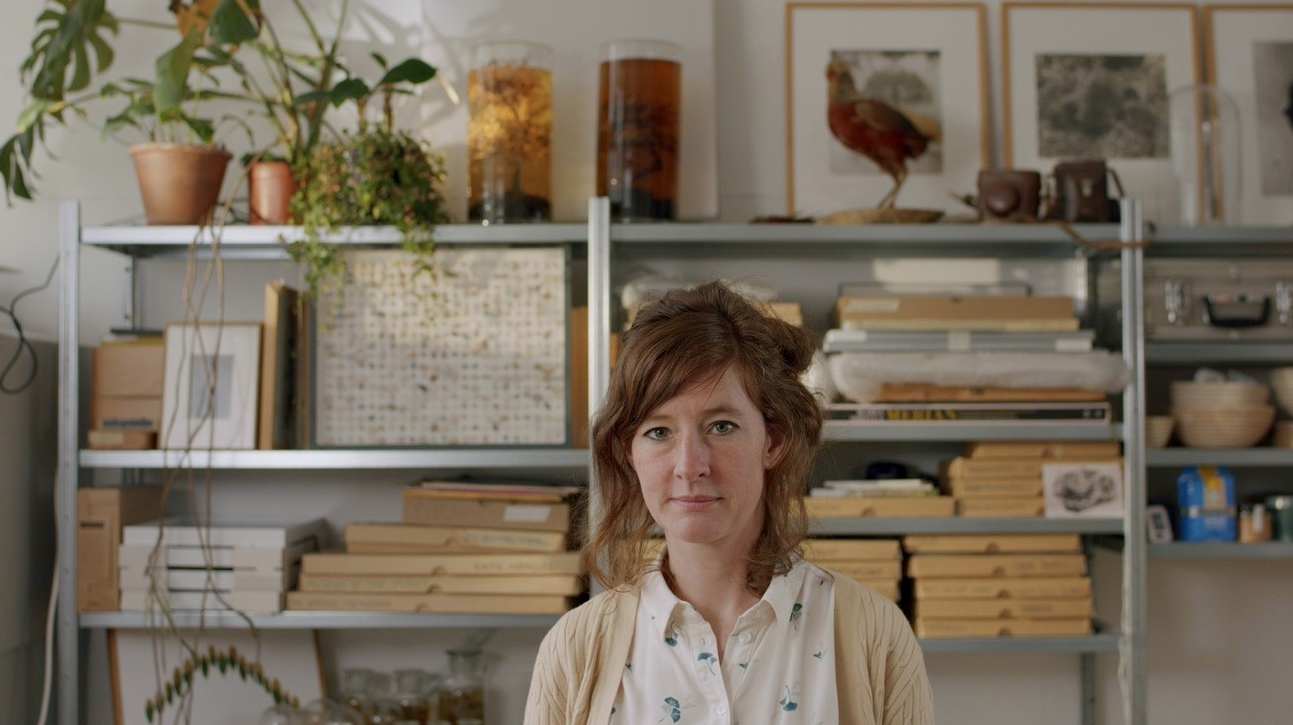 The studio of... Anne Geene | Gallery Viewer