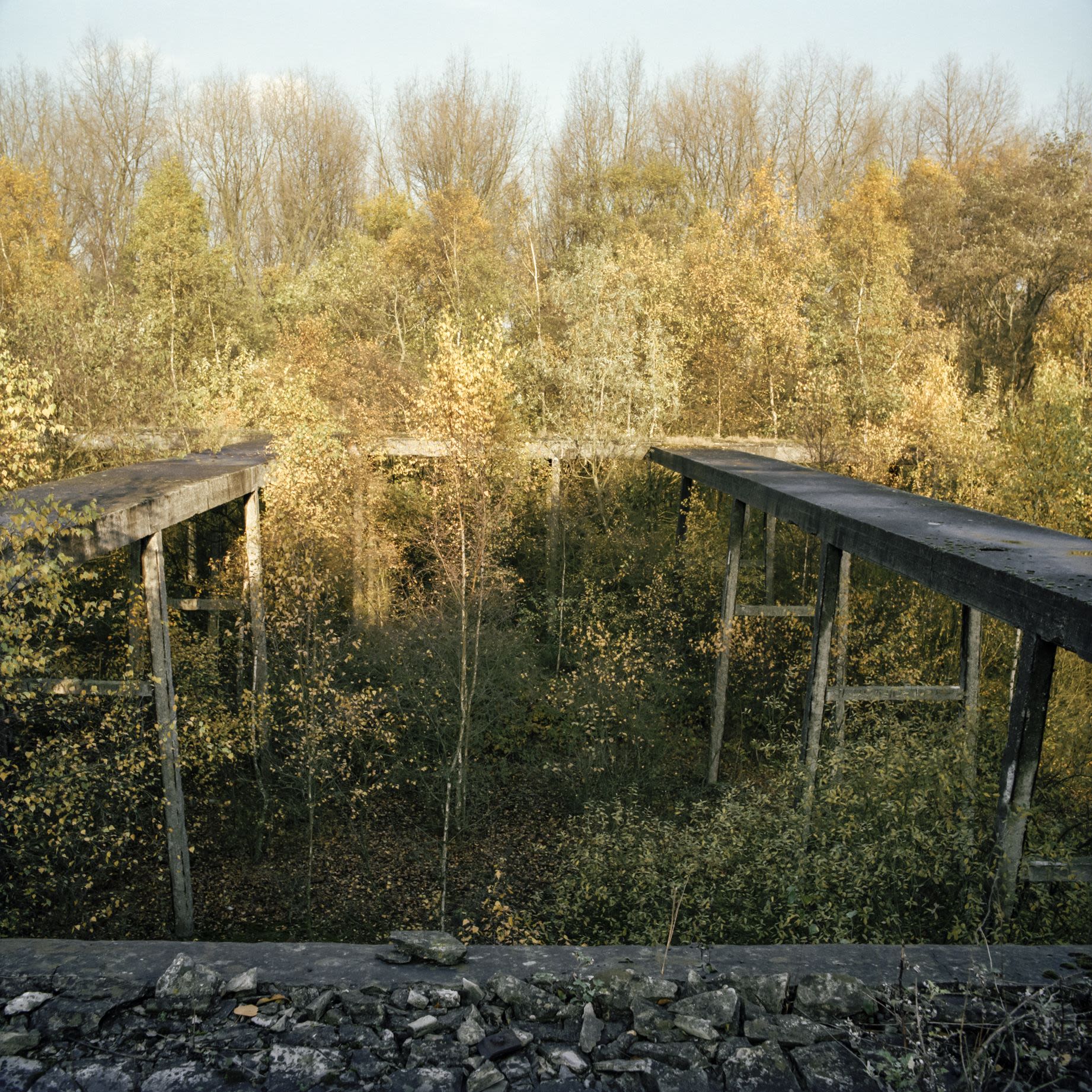 Neo-Nature G1 | Luc Deleu & T.O.P. office | Gallery View...