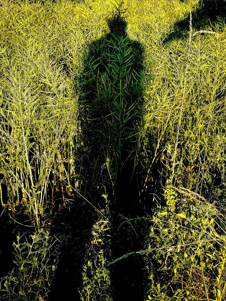 Antenna Man (Series "Encount... | Kurt Buchwald | Galler...